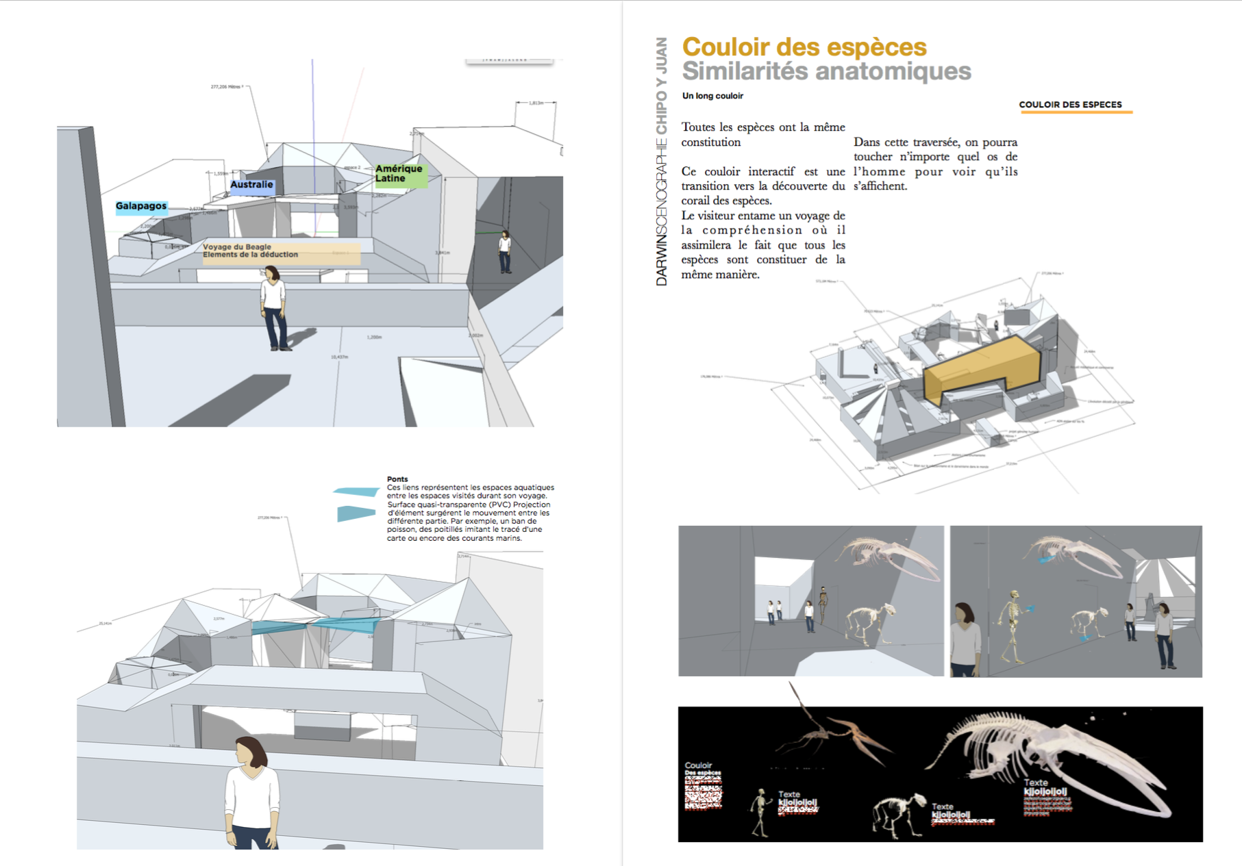 Agence Creative Chipo y Juan | DESIGN D’ESPACE